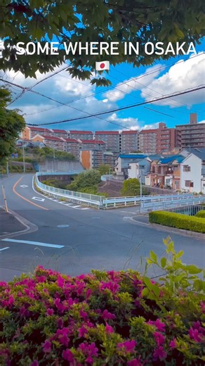 serenity everywhere 🇯🇵❤️. #japan #japanlove #japantravel #viralrells #japaneseculture #japanesevibes #osaka #tokyo #japan #travellove | Hello Japan