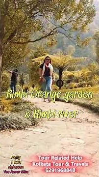 9 Must-See SIGHTSCENES in Pelling #shorts #sikkim #pelling #travel