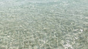 5.2K views · 221 reactions | The Anna Maria Island beaches have...