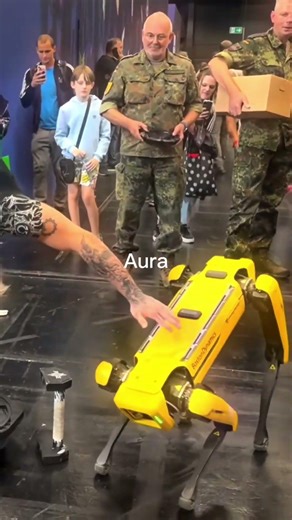 People reaction 😈🥵#freestyle #planche#motivation #respect #calisthenics #str