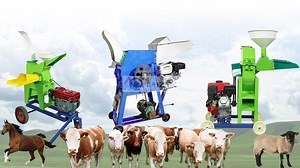 Grass Cutting Machine | Chaff Cutter And Grain Crusher