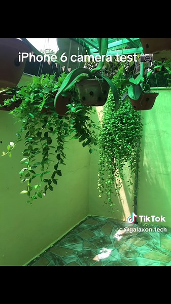 iPhone 6 Camera Test - Zoom, Video, and More!