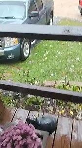 1.9M views · 35K reactions | As cell service, power and people get...