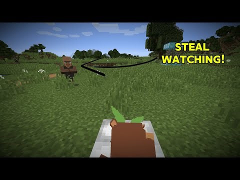 I saved Jenny from village, and there how she thanked me! JENNY MOD!