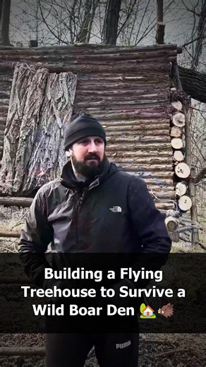 Building a Flying Treehouse to Survive a Wild Boar Den 🏡🐗 | Navy Notes
