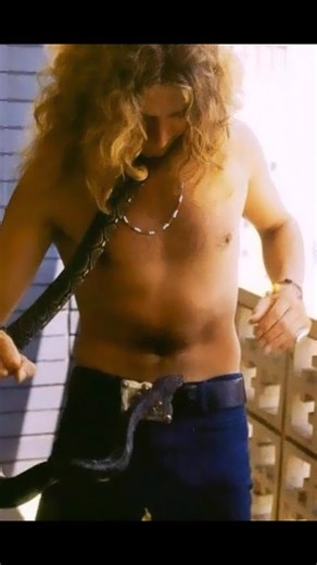 Happy Weekend Led Heads.. This one is such a fun and sexy not to be left out part of Led Zeppelin’s Ledpk Zeppelin’s eccentric Media Guru/Entertainments Manager BP Fallon allowed his friend the LA scenester/photographer ©️Richard Creamer to capture this spontaneous balcony scene of Whole Lotta Snakin’ Goin’ On and which has become one rock’n’roll’s most iconic images. Pictured are The Snakeman with Monty The Python, the irrepressible BP, The Golden God Robert Plant & Vanessa Gilbert, a valued fr