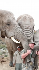 8.1K views · 62 reactions | From chasing springbok to finally taking an eland with Stone Creek Safaris. This is one hunt I’ll never forget. Watch the full episode on YouTube https://www.youtube.com/watch?v=g3rEFh0n_No | The Outdoorsman with Max McNeely | Facebook