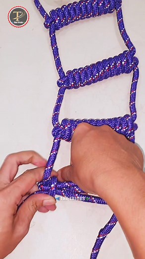 Easy Rope Knot 💡 Step by step method #diy #reelsfb #reelsviral #knots #reels #trending #trend #viral #reelsvideo #howto #trendingreels #trendingnow #video #creative #craft #viralvideo #viralreels #like #love #fypシ゚ | The Tricks
