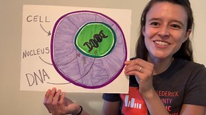 Learn how to extract real DNA from a strawberry using household items, and try it at home! To learn more, check out these books:  The One and Only Me by Arianna Killoran - bit.ly/3mrdNPr  Women in Science by Rachel Ignotofsky - bit.ly/3c6qcU9  Guilty by a Hair! by Anna Prokos - bit.ly/32ARajZ #FCPL #MDlibraries #STEM | Frederick County Public Libraries | Facebook