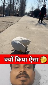 Swan bird Eating Fish smart work Smart Work 😱😱 #reelsviral2024 #reels #reelsviral #2k24 #2024viralvide #swans | Wildlife Vision