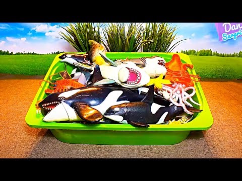 Box of Sea Animals Shark, Whale, Dolphin, Squid, Octopus, Orca, Stingray, Lobster, Crab, Turtle