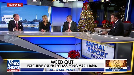 Trump executive order reclassifying marijuana sends 'mixed messages': Former RNC communications director