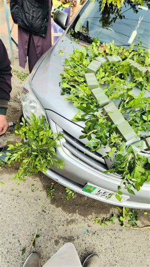 Fresh Flower Car Decoration Ideas for Special Occasions