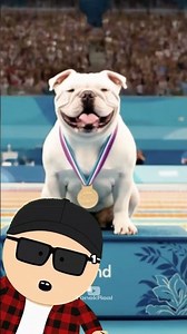 DOG COMPETITIONS 🐶🏄 | #shorts #2026