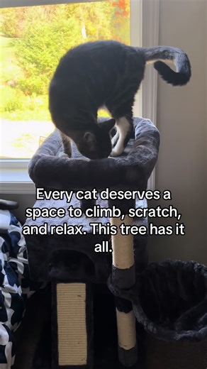 Stylish, sturdy, and cozy—this cat tree blends right into your home while keeping your cat happy. #ModernCatTree #PetFurnitureAesthetic #CatParentGoals #CatSetupInspo #FelineInterior #CatNapGoals #PetCornerDecor #CatLifeDaily #CatRoomAesthetic #CatTreeSetup