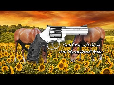 Smith & Wesson Model 686 - The Best General Purpose Revolver Made!