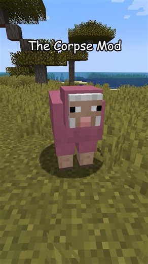 #minecraft mod review - reviewing the corpse mod
