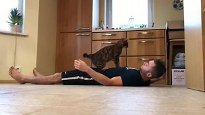 44K views · 935 reactions | If this were one of mine it meant I am late on dinner https://instagram.com/mysticthebengal | C.A.A. - Cat Addicts Anony-mouse | Facebook