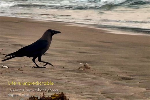 495K views · 8.9K reactions | Life is unpredictable, You never know what's gonna happen next. | Don't post your feelings | Facebook