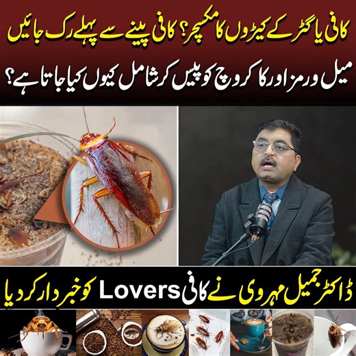 کافی یاگٹر کےکیڑوں کا مکسچر؟ کافی پینے سے پہلے رک جائیں #clickentertainment #fblifestyle #news #drjamilmehravi #CoffeeLovers #HealthWarning #Cockroach #FoodSafety #UnhealthyFood #ViralHealth | Click Entertainment