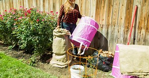 Winterizing Roses - Home & Family