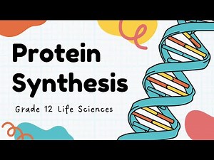 Protein Synthesis in a nutshell - Grade 12 Life Sciences