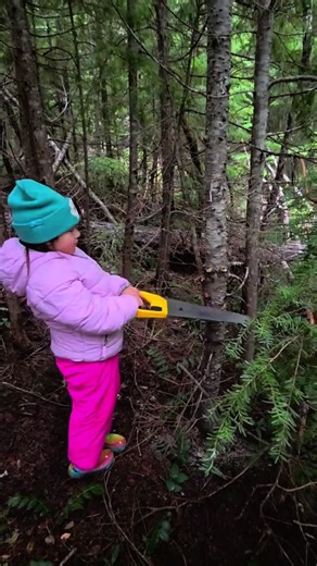 Puedes comprarlo en línea en recreation.gov o en persona en oficinas de los Servicios Forestales de EE. UU. (US Forest Service) y en algunos vendedores locales. Nosotros fuimos en Sandy Ace Hardware.#oregon #christmas You can cut a Christmas tree from a National Forest by purchasing a $5 permit, available online through Recreation.gov or from local Forest Service offices and vendors we purchased our permit at Ace Hardware in Sandy.#foryoupage