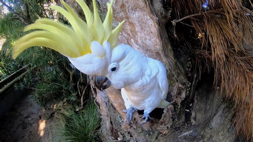 41K views · 2.5K reactions | Get a Captain’s eye-view of the inside...