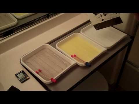 FN2: Developing Paper Negatives