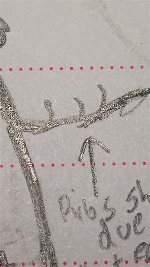 !𝐑𝐄𝐀𝐃 𝐃𝐄𝐒𝐂𝐑𝐈𝐏𝐓𝐈𝐎𝐍!