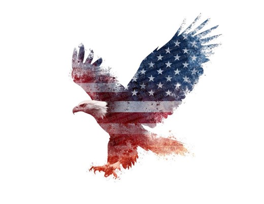 American Eagle Flag PNG Clipart, 12x Patriotic Bald Eagle Art Set, USA Flag Overlay Art, Transparent PNG, Printable Independence Day Clipart - Etsy