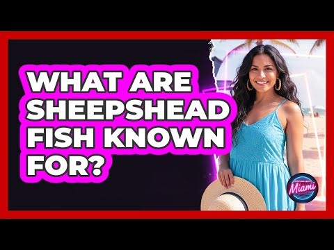 What Are Sheepshead Fish Known For?