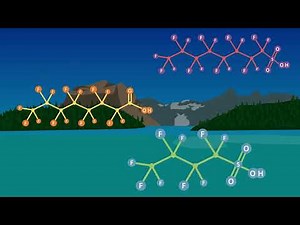 Hazard Risk Index: Assessing PFAS Mixtures