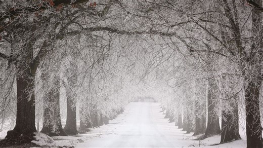 Winter storm warning issued for West Virginia mountains