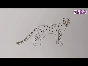 How to draw a cartoon snow leopard
