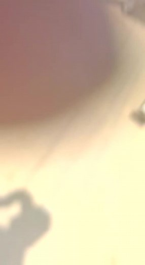 venkateshmodem268 على TikTok