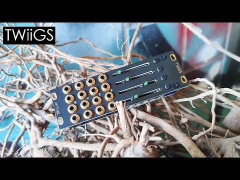 Jakplugg Twiigs (Mutable Instruments Branches clone) - DIY tutorial, audio demo, review