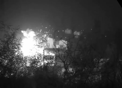 Thunderstorm causes tree fire in Limassol after lightning strike (video)