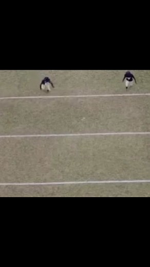 😂😂😂#fyp #viral #highlights #footballtiktok #football #hitstick #linebacker