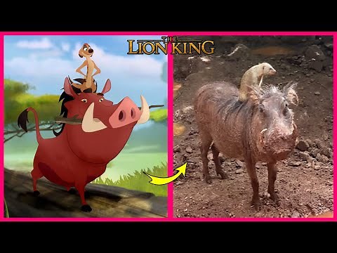 The Lion King 🔥 Real Life