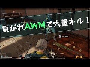 相棒からもらったAWMで16KILL