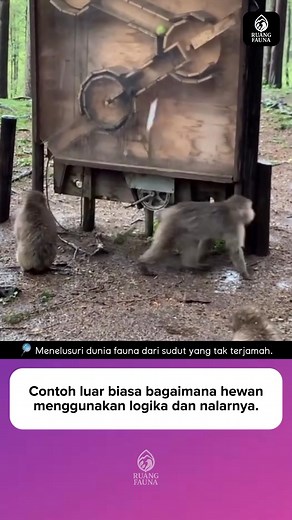 350K views · 1.2K reactions | Contoh luar biasa bagaimana hewan...