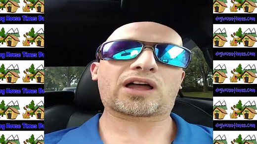 Plants Dogs Hate And Some They Don't But Should (119 To Be Exact) - Dog House Times