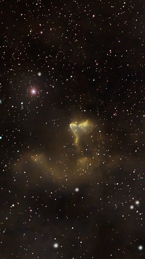 Space… The Ghost of Cassiopeia( IC 63) Nebula & The Elephant Trunk ( IC 1396) Nebula, captured from Queens, New York. #astrophotography #reels #video #3d #star #deepskyphotography #stars #réel #instavideo #astronomy #photography #photographer #night #sky #milkyway #nebula #universe #cosmos #space #ghost #elephant #trunk #newyork #nyc #telescope | Astrophotobobcat