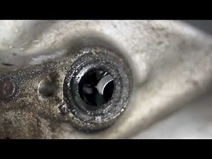 6.7 Powerstroke fuel knock...stupidity