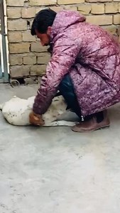 5.7K views · 1.3K reactions | Quick update: I'm seeing lots of...