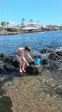 Catching fish in a rock pool at Playa Bastian Brach Costa Teguise Lanzarote