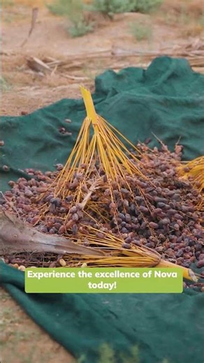 Nova | Healthy, Syrup-Free Dates from Infinity Nuts #NovaByInfinityNuts