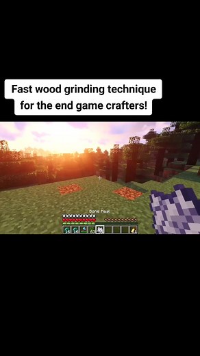 I'm back (if anyone cares)! This one's for my endgame friends! This is for grinding out a ton of wood quickly. #xyzbca #minecraft