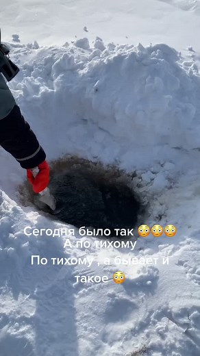 Retrieving Objects from Snowy Water Holes